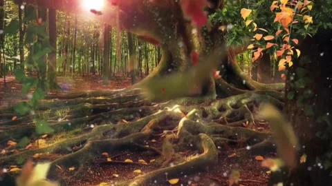 Enchanted forest loopable HD background ... | Stock Video | Pond5