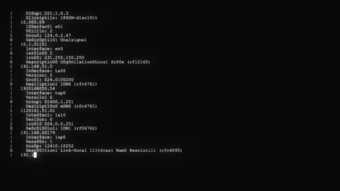 Hacking Stock Video Footage | Royalty Free Hacking Videos | Pond5
