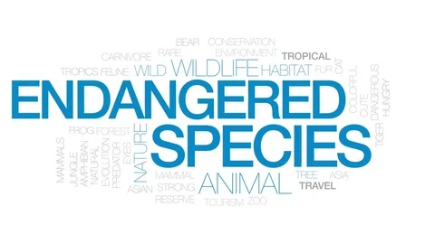 Endangered species animated word cloud, ... | Stock Video | Pond5