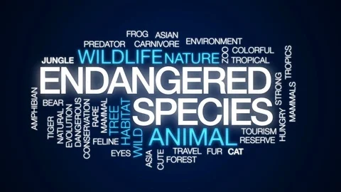 Endangered species animated word cloud, ... | Stock Video | Pond5