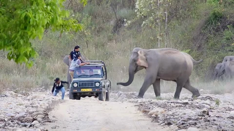 Are Indian Asian Stock Videos – Royalty-Free HD & 4K Videos | Pond5