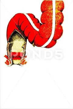 Photograph: Enddarm und Schliessmuskel Enddarm und Schliessmuskel ...