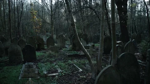 Endless graves in an English forest grav... | Stock Video | Pond5