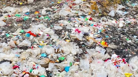 Local Disposal Trash Stock Videos – Royalty-Free HD & 4K Videos | Pond5