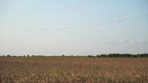 Energy. Power lines. Row of high voltage... | Stock Video | Pond5
