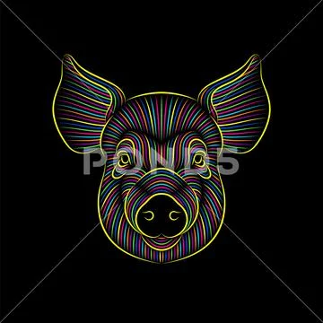 Engraving of stylized psychedelic pig portrait on black background ...