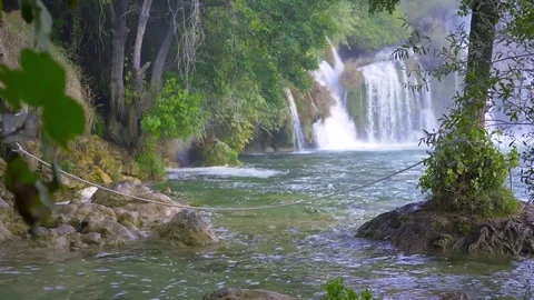 enrooted tree in front of waterfall in K... | Stock Video | Pond5