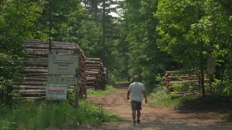 Entering the Danger Zone of a logging fo... | Stock Video | Pond5