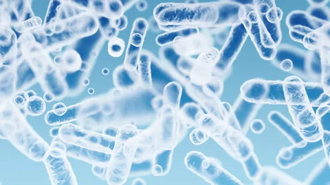 Enterobacteriaceae, gram-negative rod-sh... | Stock Video | Pond5