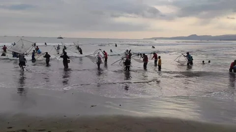 Find The Simpl Stock Videos – Royalty-Free HD & 4K Videos