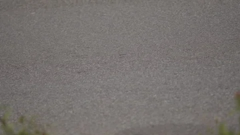 Traffic Isses Stock Videos – Royalty-Free HD & 4K Videos | Pond5