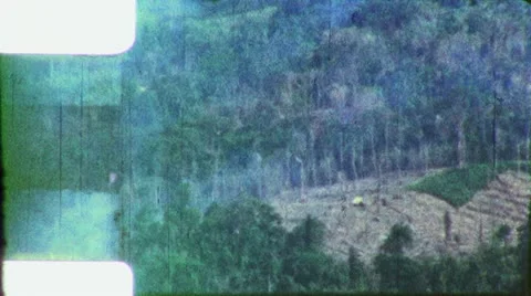 Amazon Rainforest Movie Stock Videos – Royalty-Free HD & 4K Videos