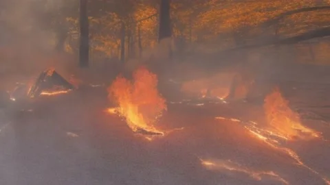 Environmental disaster of fire burning p... | Stock Video | Pond5