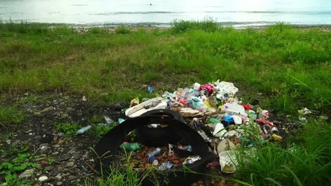 Environmental pollution on the beach, a ... | Stock Video | Pond5
