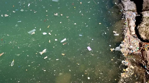 environmental pollution on the beach - S... | Stock Video | Pond5