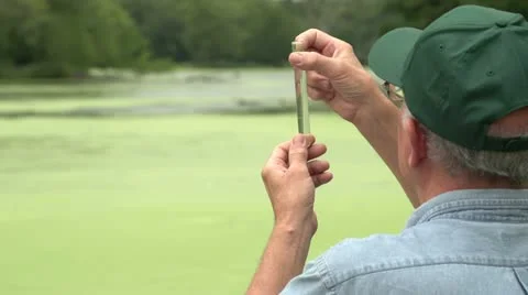 Water Looking At Stock Videos – Royalty-Free HD & 4K Videos