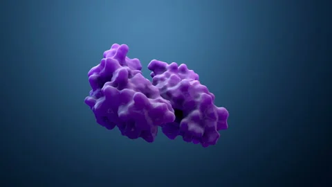 Enzyme molecular structure, animation | Stock Video | Pond5