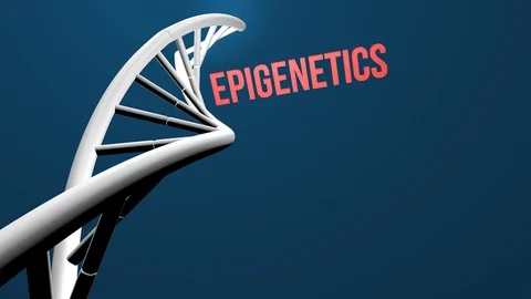 Epigenetics Stock Footage ~ Royalty Free Stock Videos | Pond5