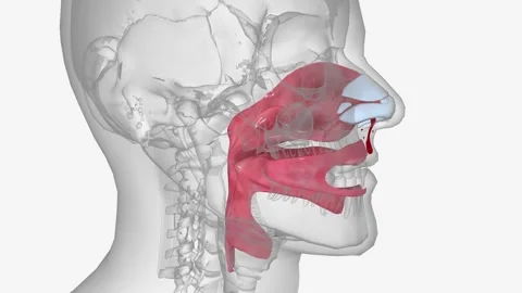 Epistaxis (also called a nosebleed) refe... | Stock Video | Pond5