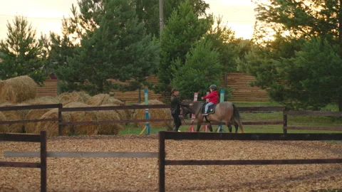 equestrian lessons for kids in pony club... | Stock Video | Pond5