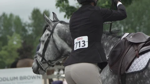 Horse Mounts Woman Stock Videos – Royalty-Free HD & 4K Videos