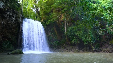 Spring Mountain Trees Stock Videos – Royalty-Free HD & 4K Videos | Pond5