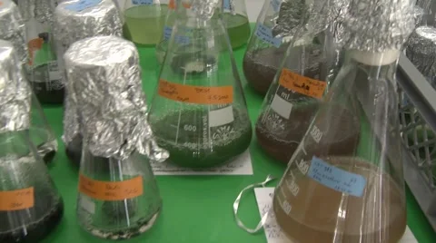 Erlenmeyer Flasks Stock Videos – Royalty-Free HD & 4K Videos | Pond5