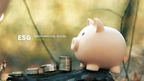 Esg Infographic Stock Video Footage | Royalty Free Esg Infographic Videos | Pond5