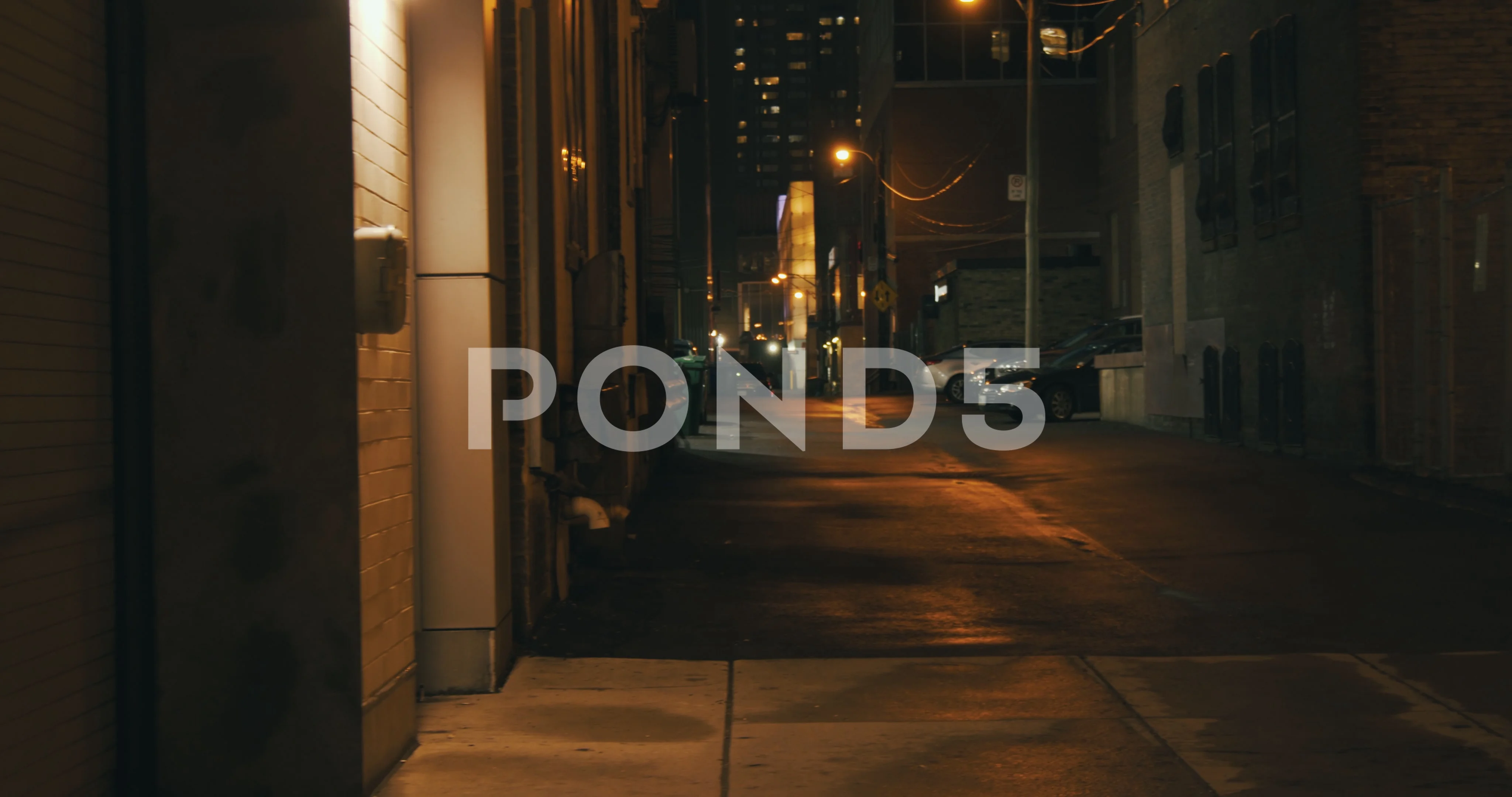 Nighttime City Alley