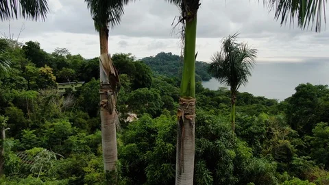 Establishing shot of landscape and ocean... | Stock Video | Pond5