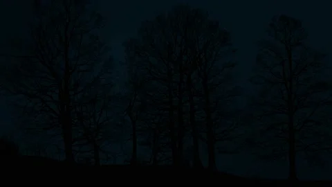 Ethereal Landscape of Forest Trees Silho... | Stock Video | Pond5