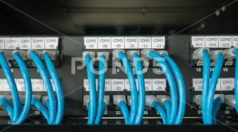 Ethernet cables and path panel in rack cabinet ~ Hi Res #85278758