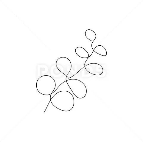 Eucalyptus branch. One line drawing art. Continuous line style: Graphic ...