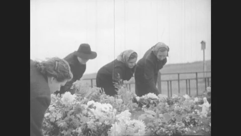 Ladies Laying Stock Videos – Royalty-Free HD & 4K Videos | Pond5