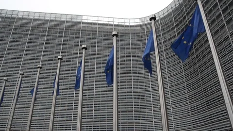 Farewall Wind Stock Videos – Royalty-Free HD & 4K Videos