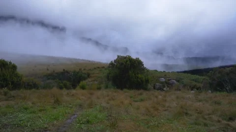 Wind Pics Stock Videos – Royalty-Free HD & 4K Videos