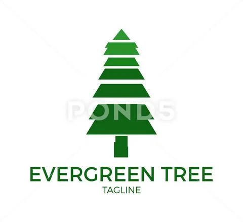 Evergreen tree vector logo template design ~ Clip Art #154549187