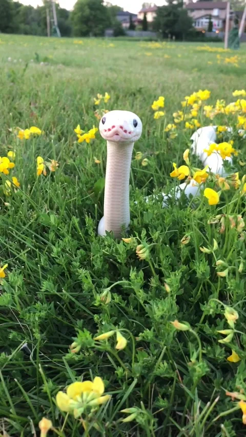 Everyone Likes It Stock Videos – Royalty-Free HD & 4K Videos | Pond5