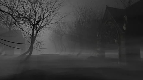 Evil haunted forest at full moon filled ... | Stock Video | Pond5