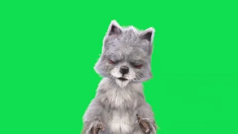 Evil Humanoid Cat Green Screen Attacks F... | Stock Video | Pond5