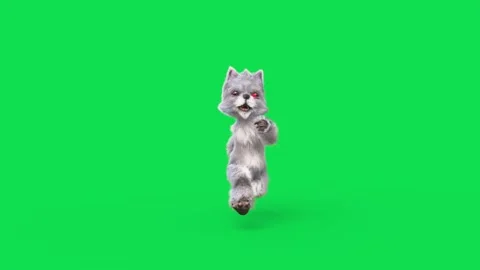 Horror Cat Animation Stock Footage ~ Royalty Free Stock Videos | Pond5