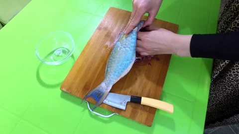 Evisceration Stock Footage ~ Royalty Free Stock Videos | Pond5