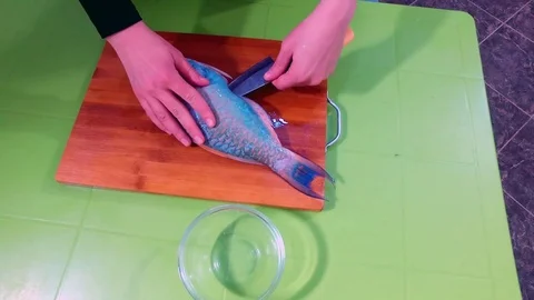 Evisceration of fish. | Stock Video | Pond5