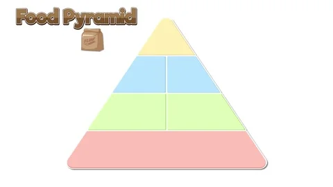 Evolution of the Food Pyramid Animation | Stock Video | Pond5