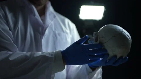Examination Of Human Skull By Forensic /... | Stock Video | Pond5