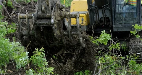 Excavator grabbing dirt and trees from f... | Stock Video | Pond5