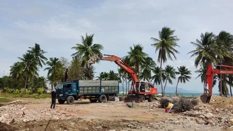 Truck Palm Stock Videos – Royalty-Free HD & 4K Videos | Page 2