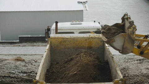 Shell Body Stock Videos – Royalty-Free HD & 4K Videos