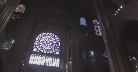 Exclusive 4K D-log Footage of Notre-Dame... | Stock Video | Pond5