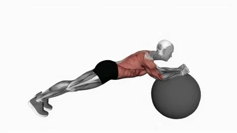 Stock Footage by Exerciseanimatic | Official Pond5 Storefront